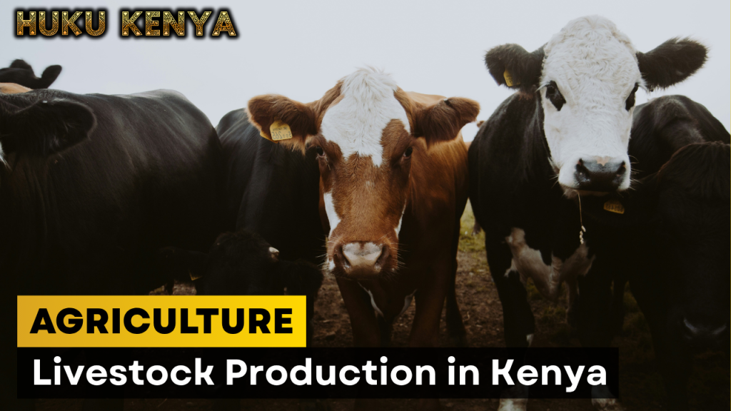 Livestock Production in Kenya – Huku Kenya